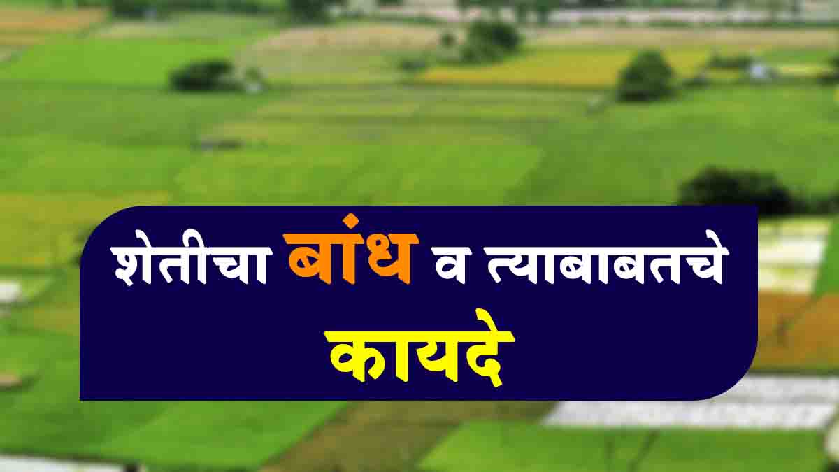 Jaminicha Bandh जमिनीचा बांध व कायदा संपुर्ण माहिती
